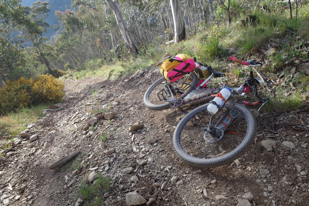 Road Runner Bags - Handmade Bike Bags By Cyclists for Cyclists®